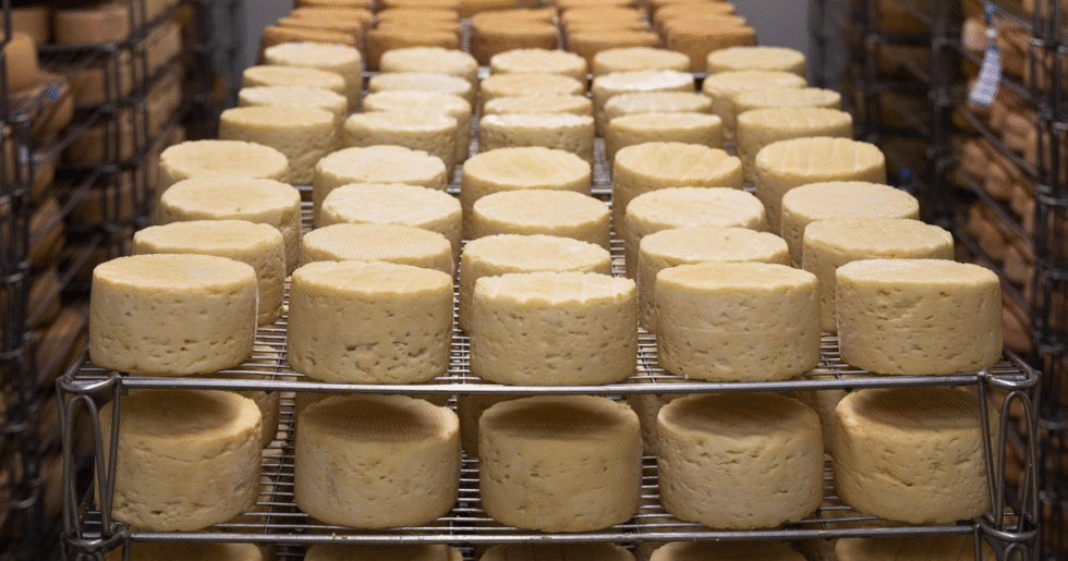 Is Cheese Halal? A CHB Explainer - Canadian Halal Bureau